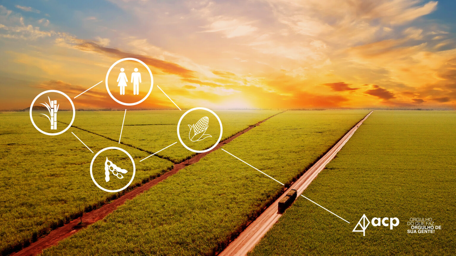 Página Inicial - ACP Bioenergia